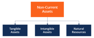 Non-Current Assets - Overview, Types, and Examples